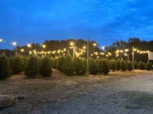 Our Products | Chestnut Hill Tree Farm | Weddington, NC